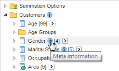Display Metadata Icons